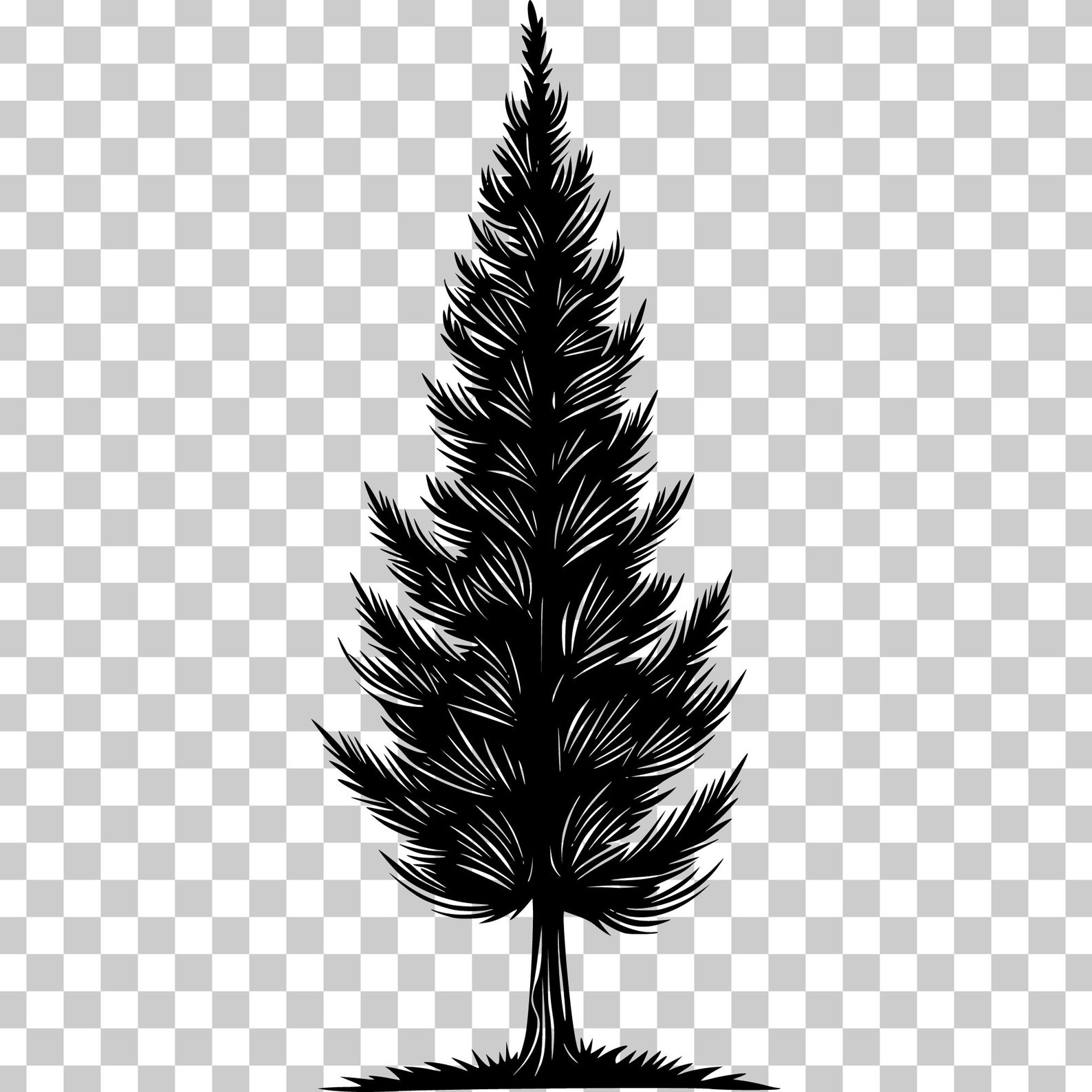 Cypress Tree Vector Clipart | Mediterranean Tree SVG, PNG (digital ...