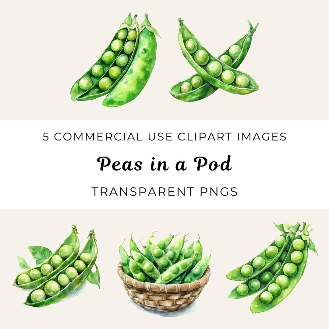 Peas in a Pod Png, Pea Pod Clipart, Vegetable Png, Healthy Eating Png ...