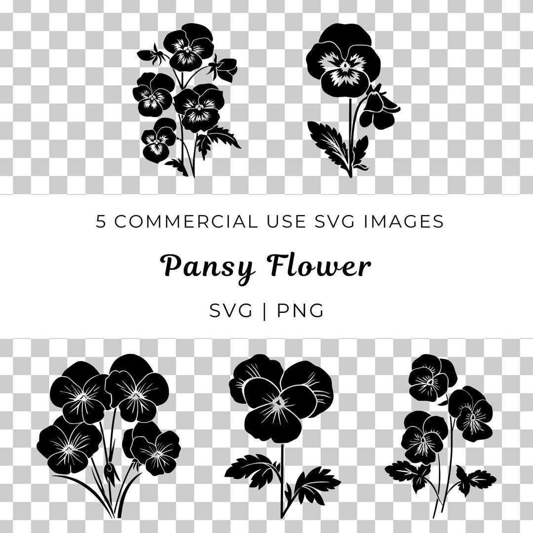 Pansy Flower Svg, Viola Blossom Svg, Garden Flower Vector, Wild Pansy ...