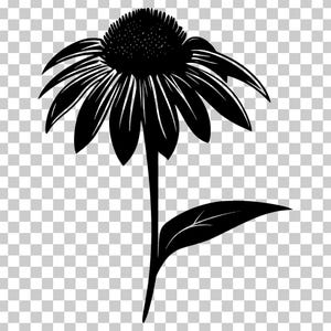 Coneflower Svg, Echinacea Flower Vector, Echinacea Blossom Vector ...