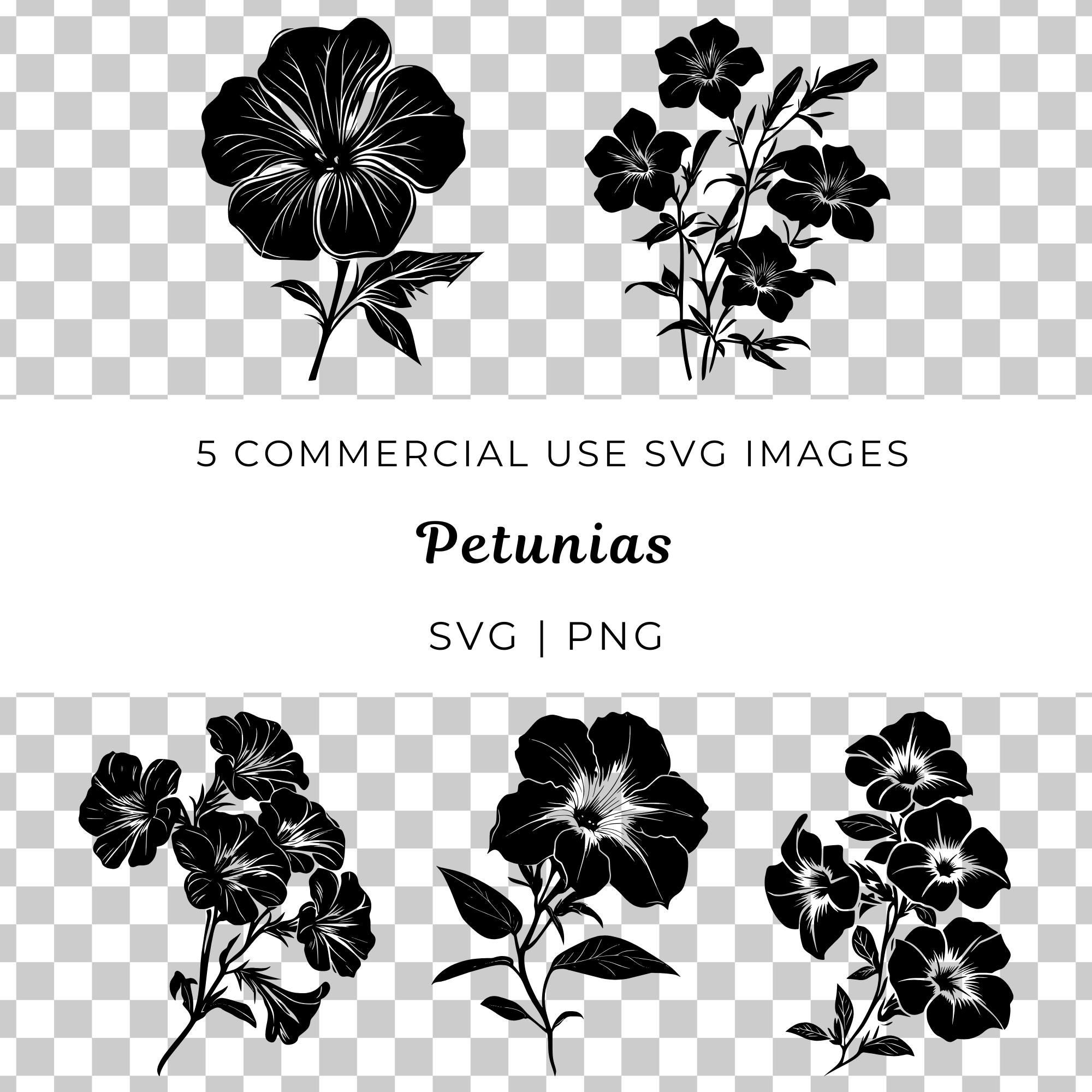 Petunia Flower Svg, Botanical Petunia Svg, Floral Petunia Svg, Petunia ...