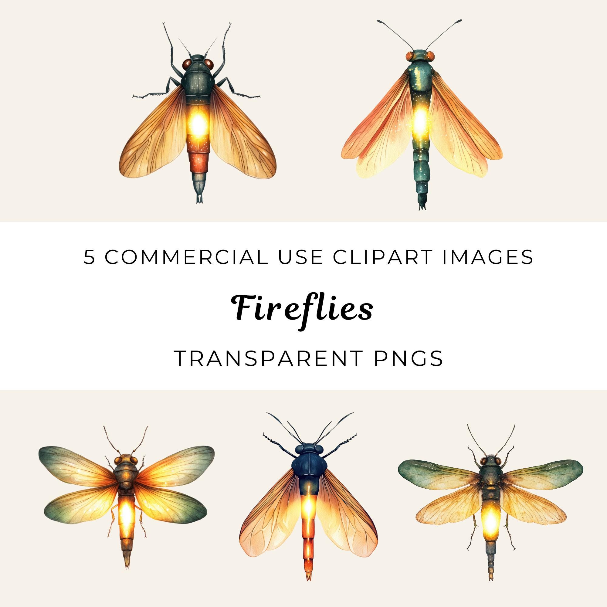 Fireflies Clipart, Glowing Bugs PNG, Summer Nights (digital Download ...
