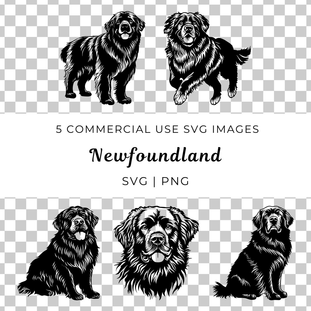 Newfoundland Svg, Newfoundland Dog Vector, Giant Dog Breed Svg, Water ...