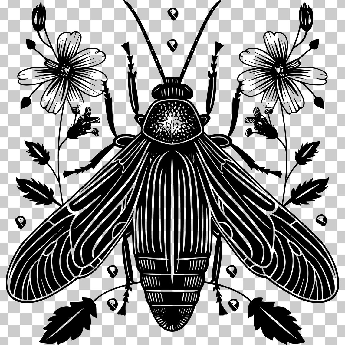 Insects Svgs, Bug PNG Images, Nature Themed Clipart, Insect Themed ...