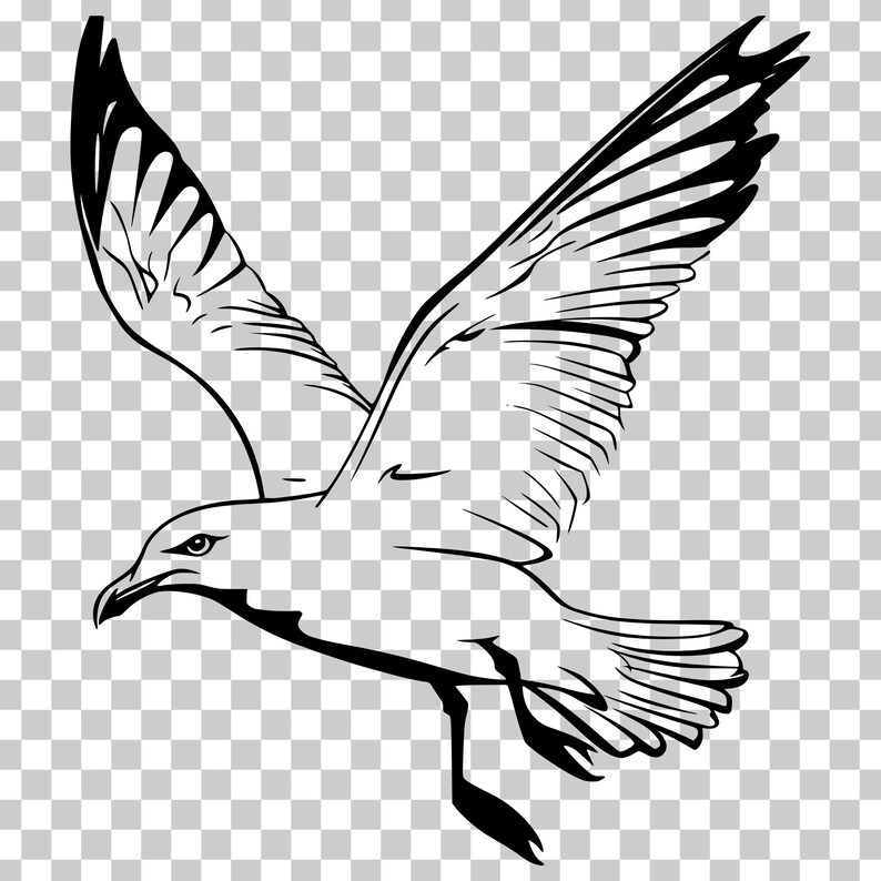 Seagull Svg, Coastal Bird Vector, Beach Bird Svg, Flying Seagull Vector ...
