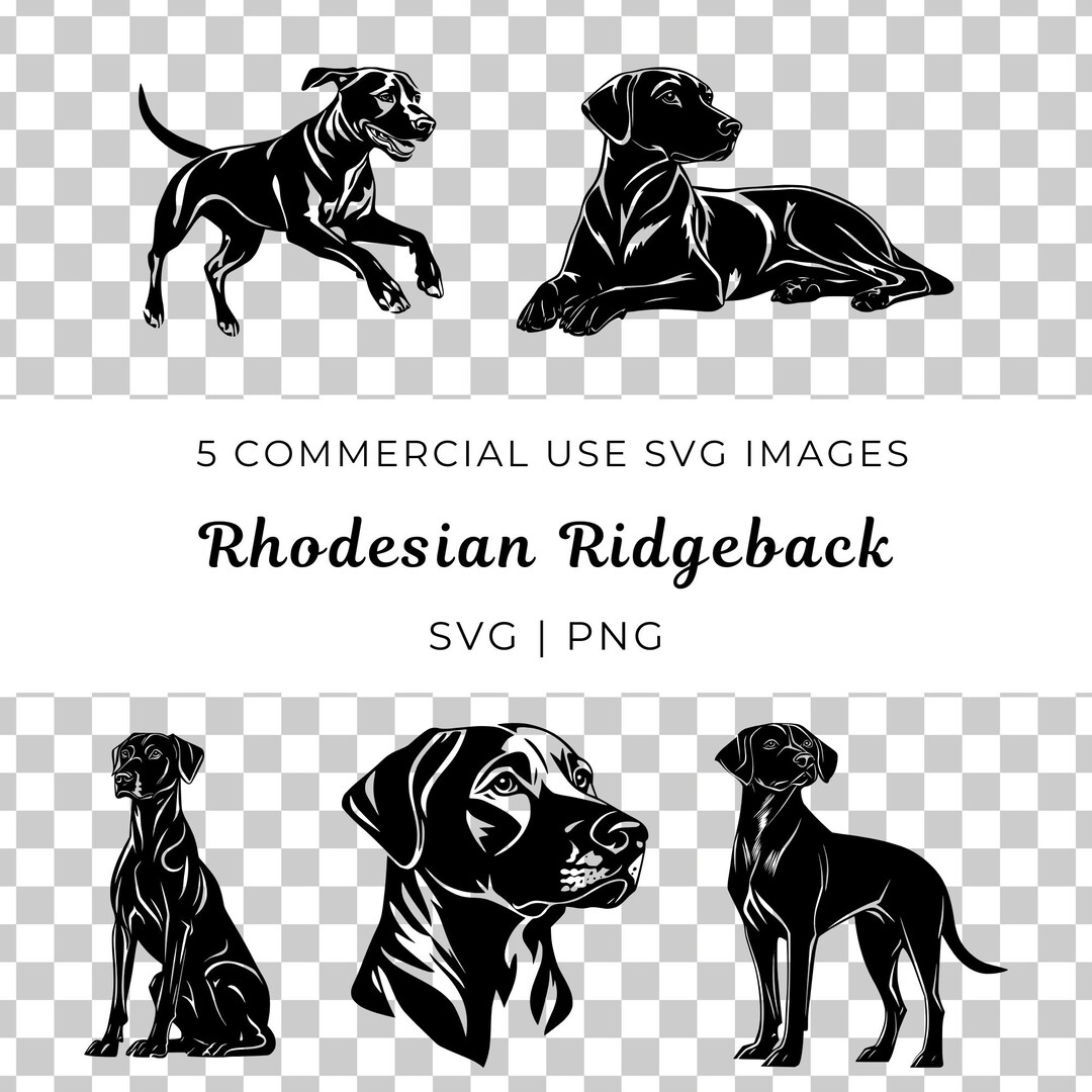 Rhodesian Ridgeback Svg, Ridgeback Dog Vector, African Dog Breed Svg ...