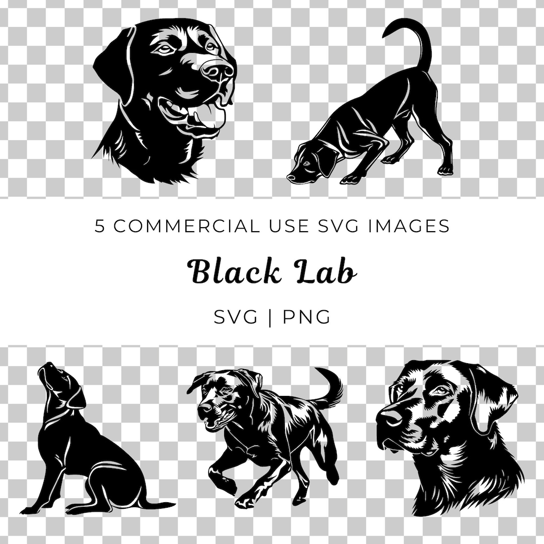 Black Lab Svg, Labrador Svg, Dog Clipart, Lab Retriever Png, Commercial ...
