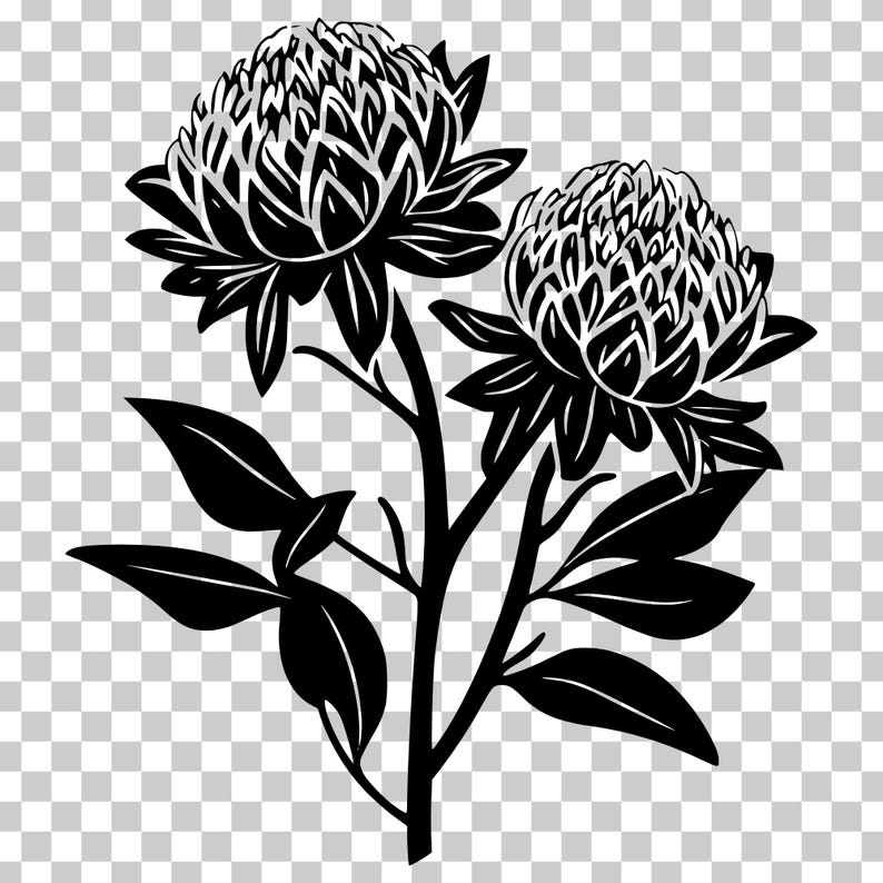 Waratah Flower Svg, Australian Native Flower Svg, Botanical Waratah Svg ...