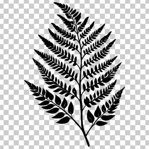 Fern Leaf Svg, Botanical Design Vector, Leaf Pattern Svg, Tropical Fern ...