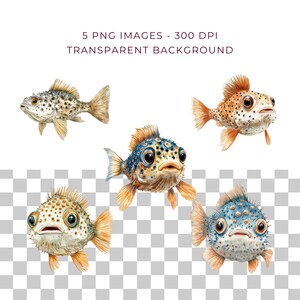 Blow Fish Png, Pufferfish Clipart, Fish Clipart, Fishing Png, Blowfish ...