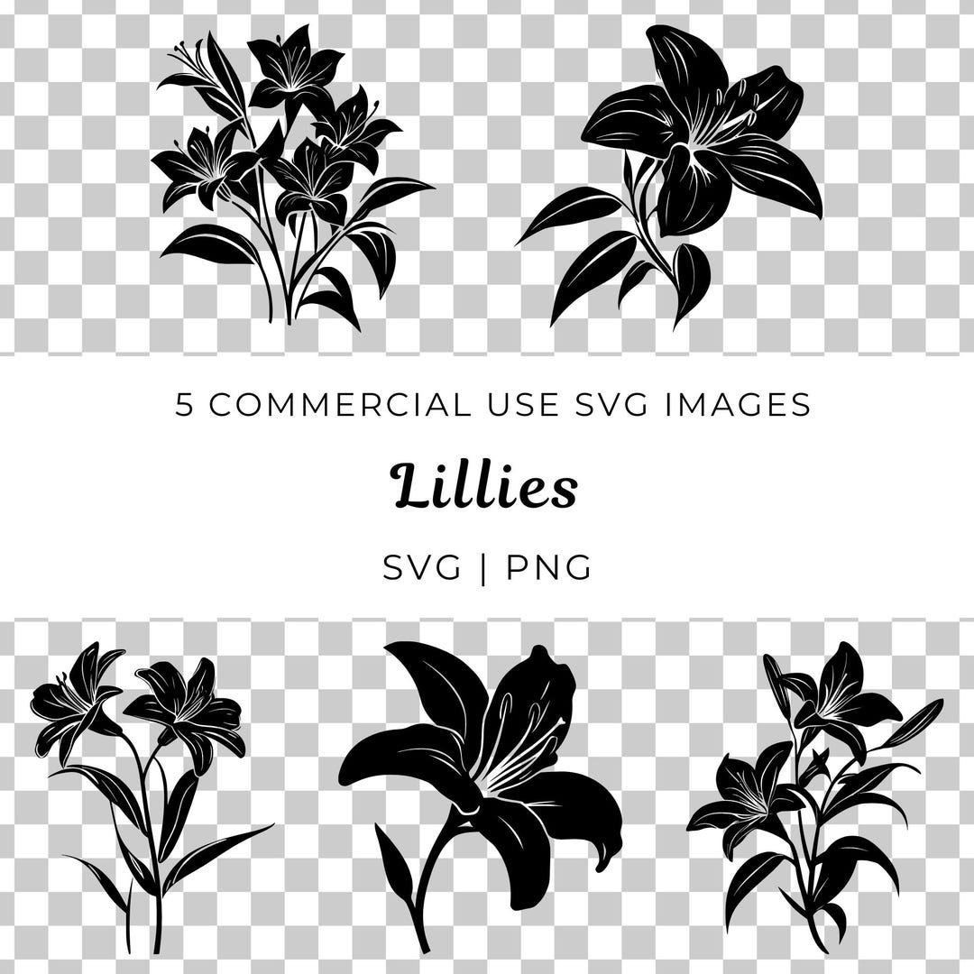Lily Svg, Flower Svg, Lilies Vector, Elegant Lily Svg, Botanical Svg ...
