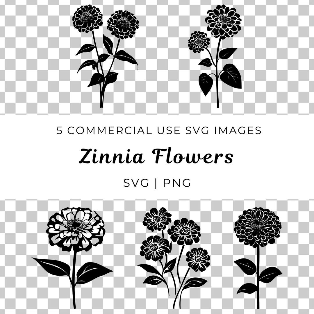 Zinnia Flower Svg, Floral Svg Pack, Zinnia Bloom Vector, Botanical Svg ...