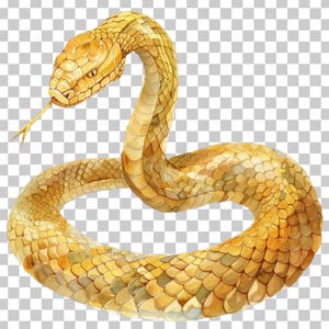 Gold Snake Png, Watercolor Snake Png, Reptile Png, Watercolor Gold ...
