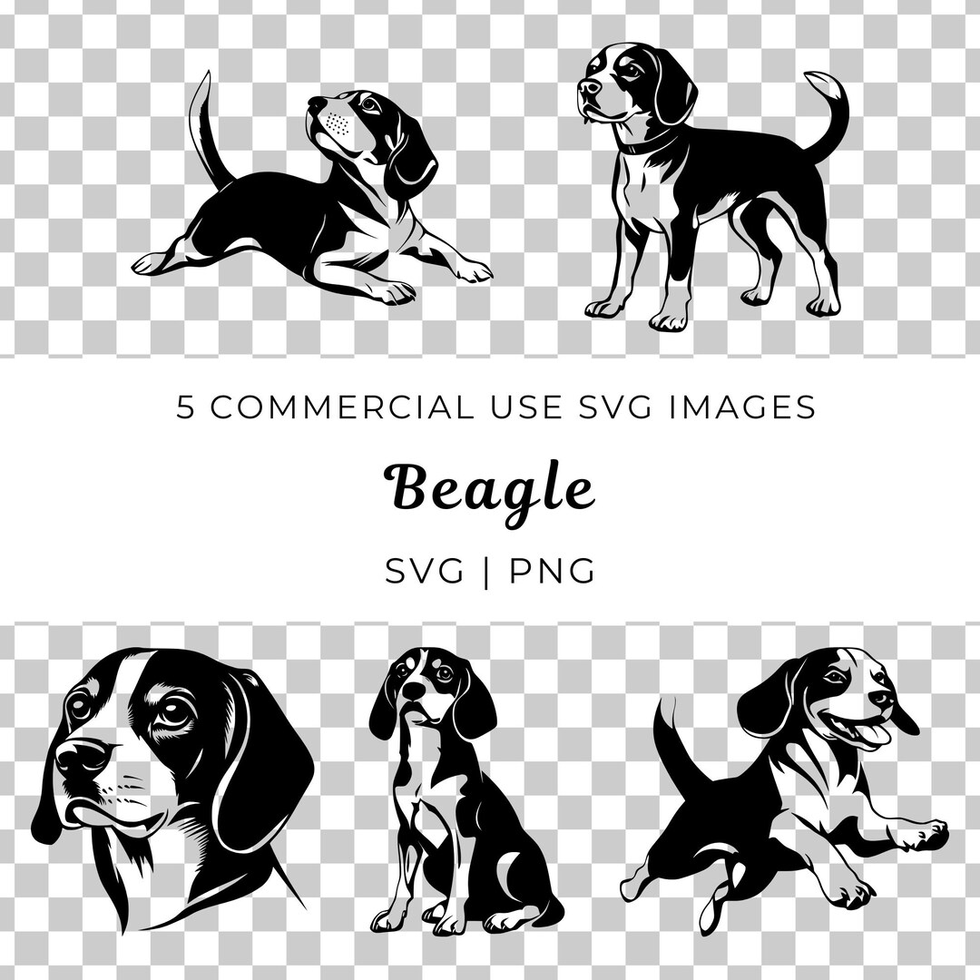 Beagle Vector, Beagle Puppy Svg, Beagle Dog Vector, Cute Beagle Svg ...