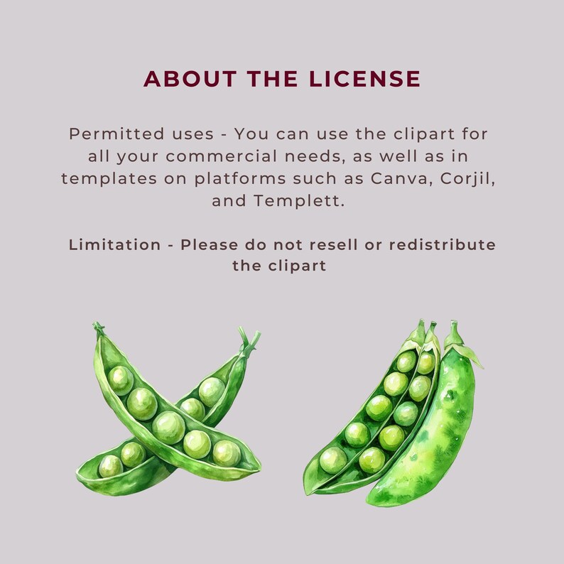 Peas in a Pod Png, Pea Pod Clipart, Vegetable Png, Healthy Eating Png ...