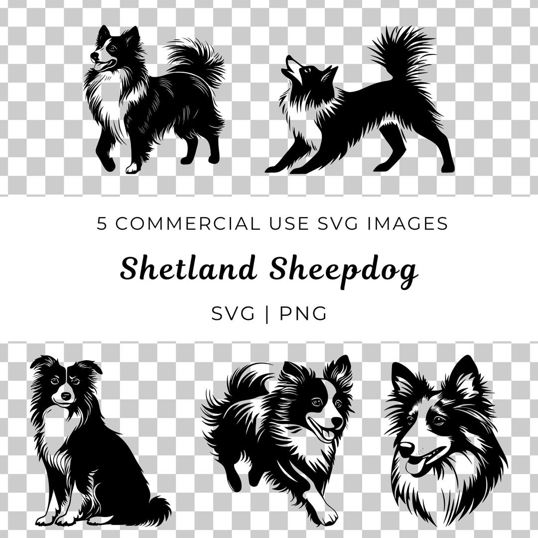 Shetland Sheepdog Svg, Sheltie Vector, Herding Dog Svg, Fluffy Dog ...