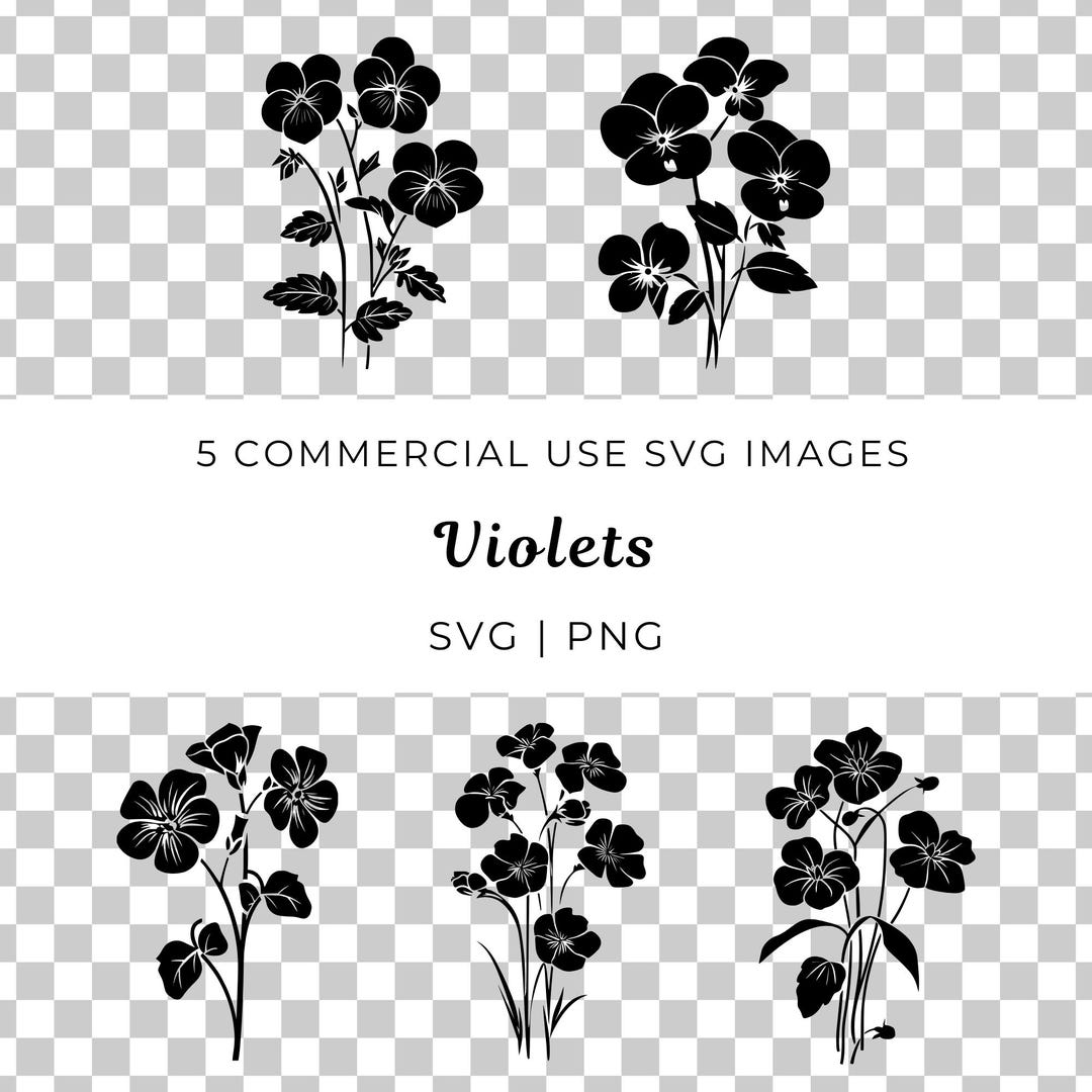 Violet Flower Svg, Elegant Violet Blossom Vector, Delicate Violet ...