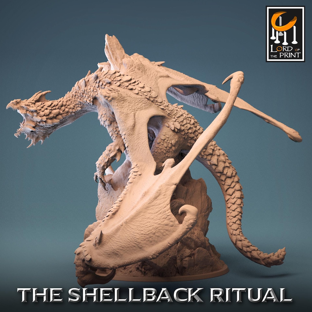 White Dragon by Rescale Miniatures |shellback Rituals| DND | D&D ...