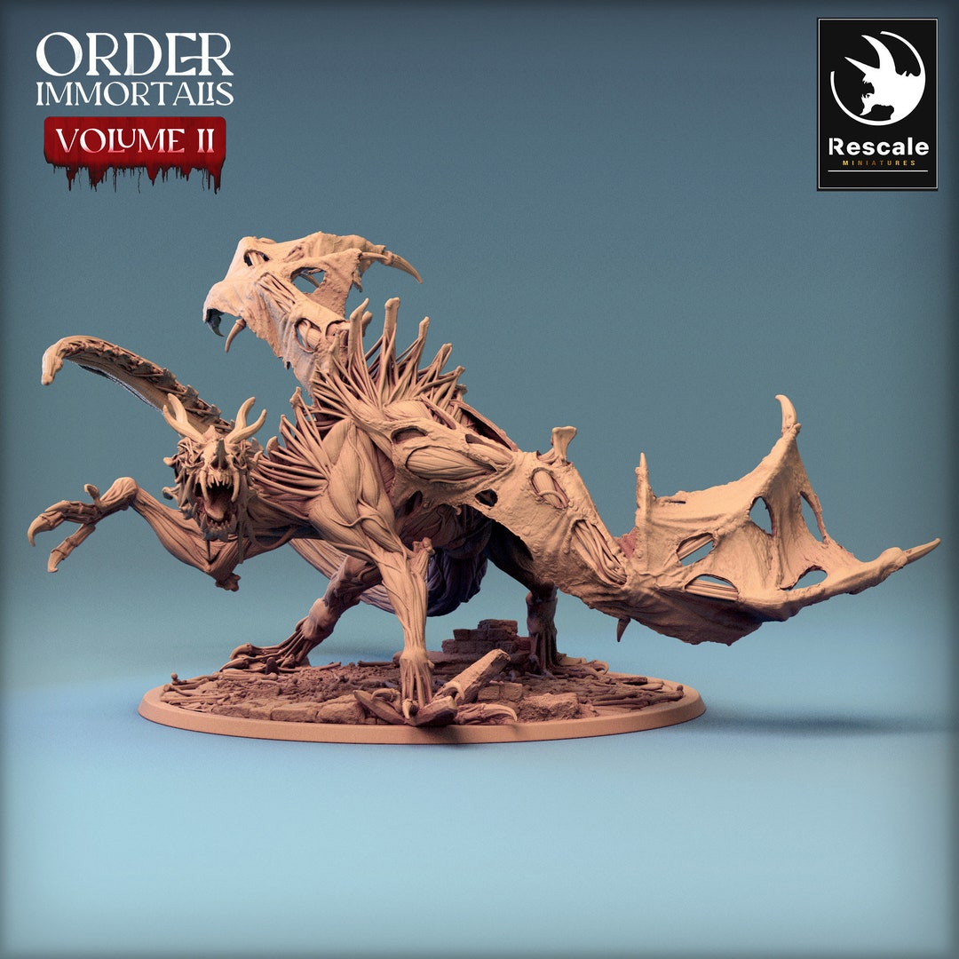 Immortalis Drake by Rescale Miniatures| Order Immortalis Vol 2 |TTRPG ...