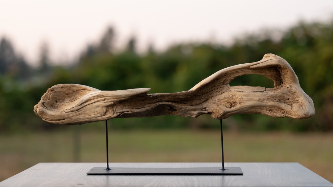 Driftwood Half Face Sculpture Nature's Marvel - Etsy