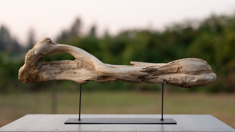 Driftwood Half Face Sculpture Nature's Marvel - Etsy