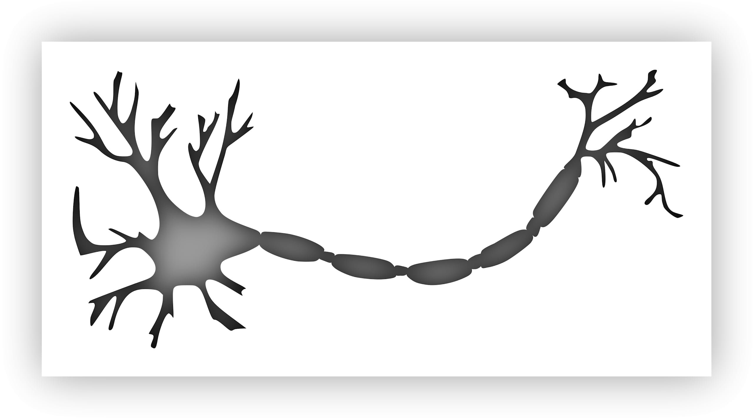 Neuron Brain Cell Stencil - Choose a Size - Laser-cut Reusable Plastic ...