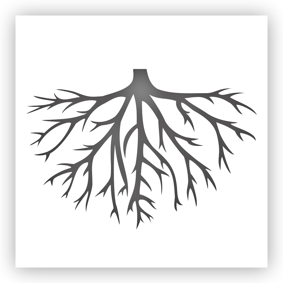 Tree Roots Stencil - Choose a Size - Laser-cut Reusable Plastic - Etsy