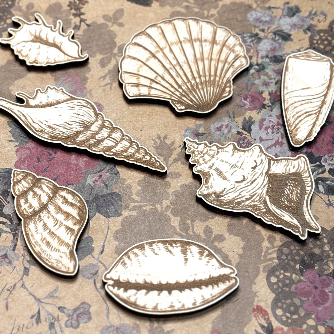 Set of 7 Wooden Seashell Magnets, Handmade Gift for a Beach-loving ...