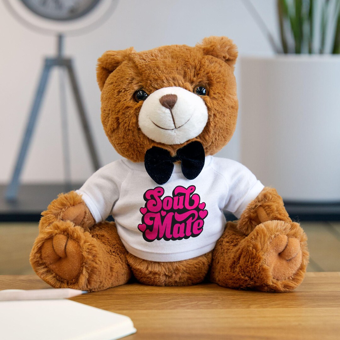 Teddy Bear, Soul Mate Gift, Cute Plush Toy, Love Companion, Romantic ...
