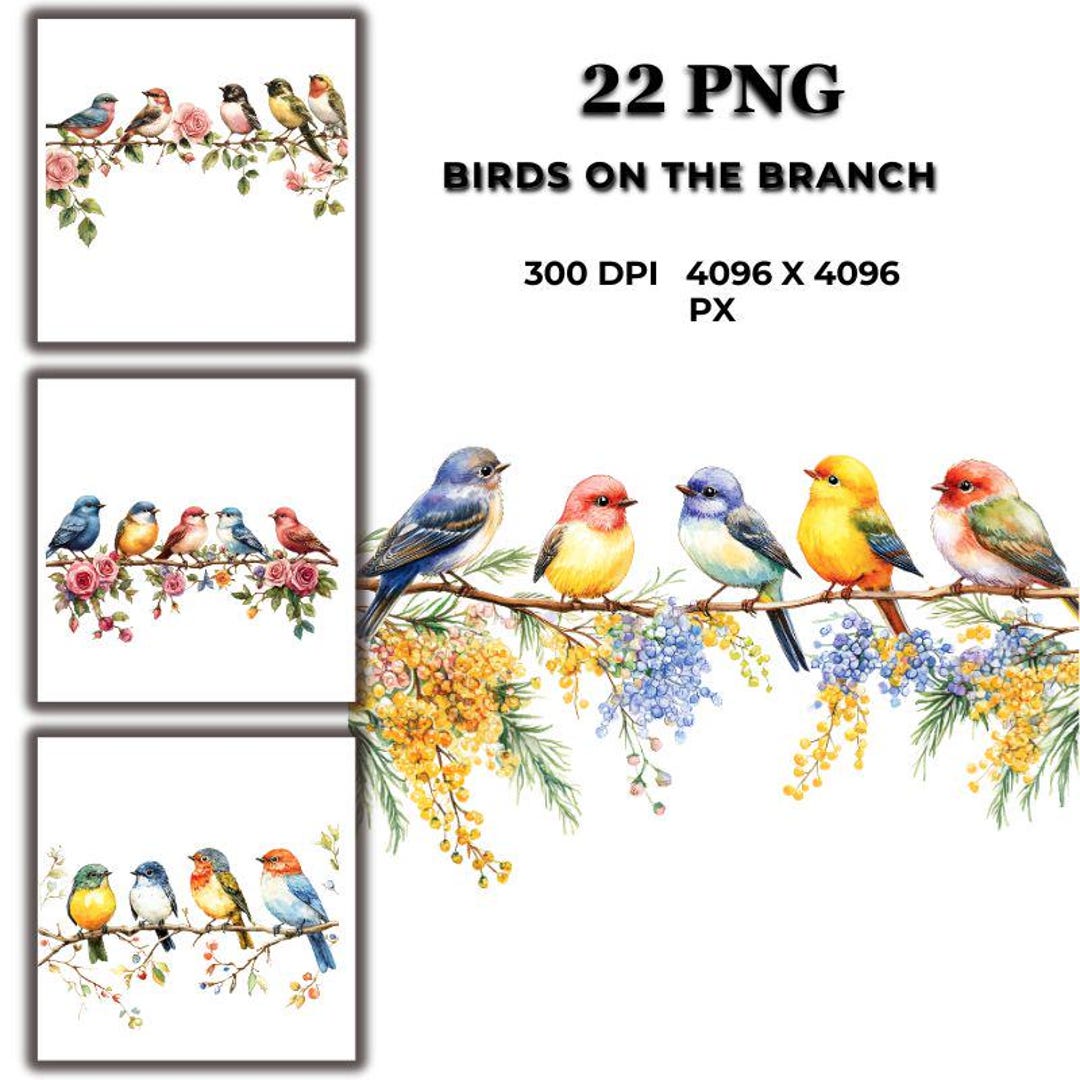 Watercolor Birds Clipart: Whimsical Illustrations Digital Download PNG ...