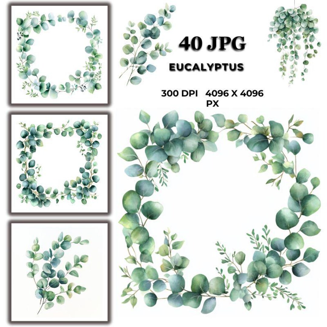 Eucalyptus Frame Clipart – Elegant Watercolor Eucalyptus Branches for ...