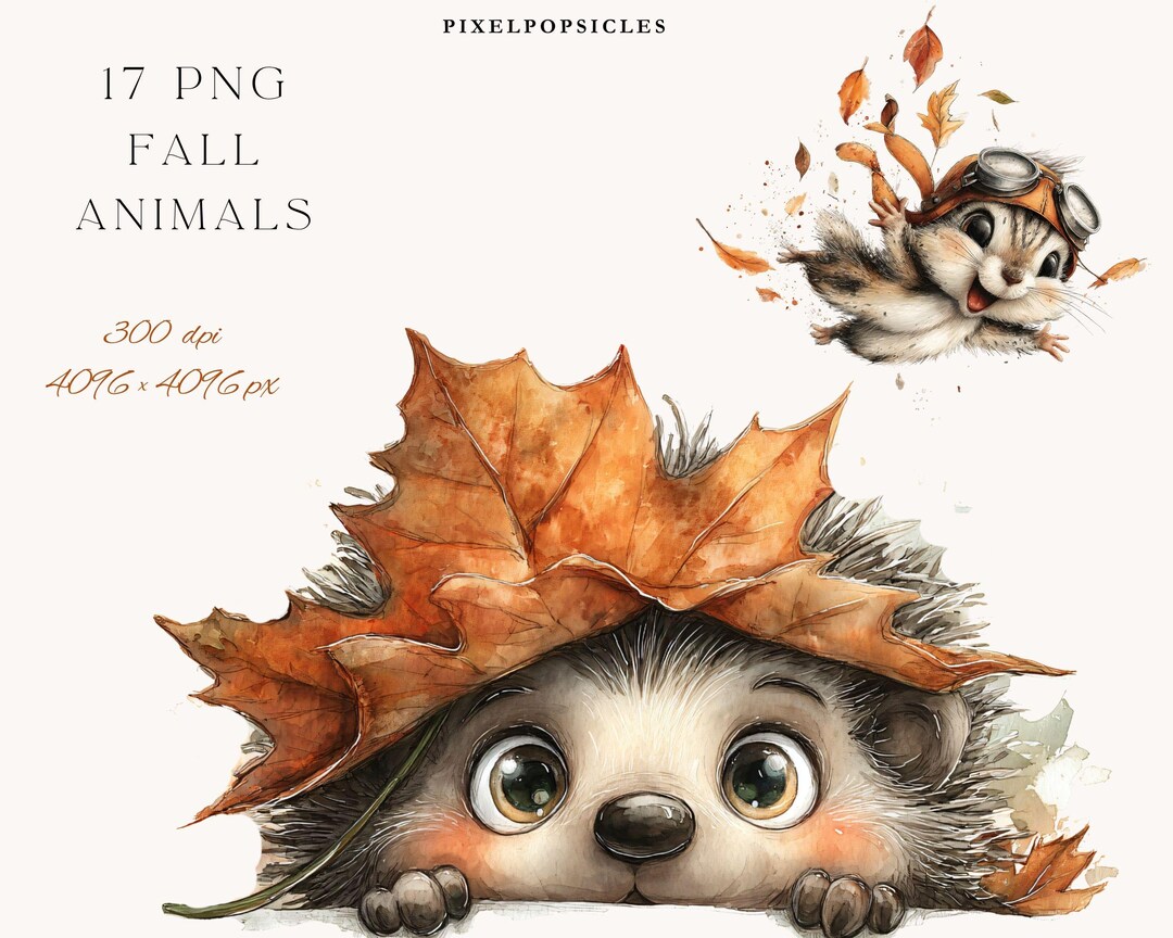 Autumn Woodland Animals Clipart Bundle: Fall Forest PNG Images (digital ...