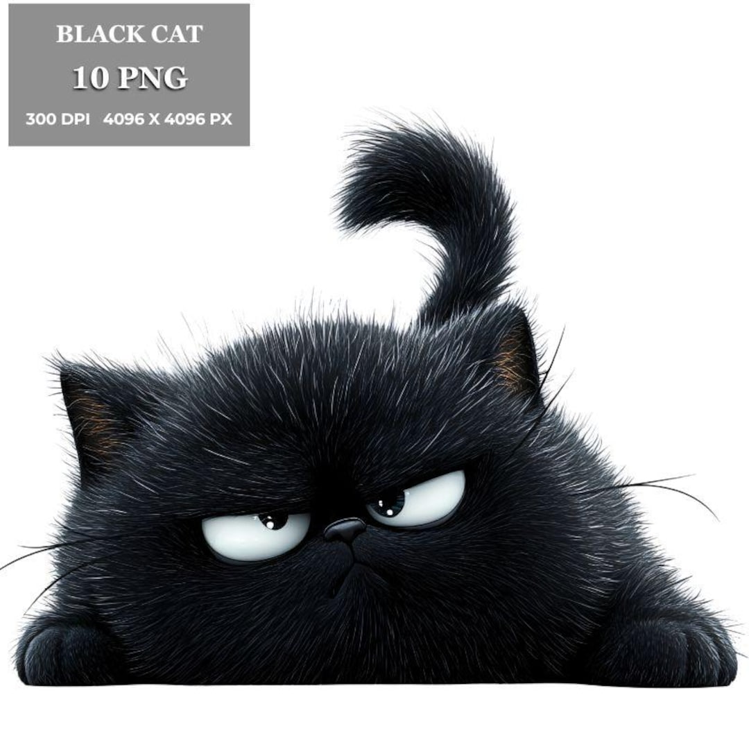 Grumpy Black Cat PNG Clipart, 10 Image Bundle, 300 DPI, Digital ...