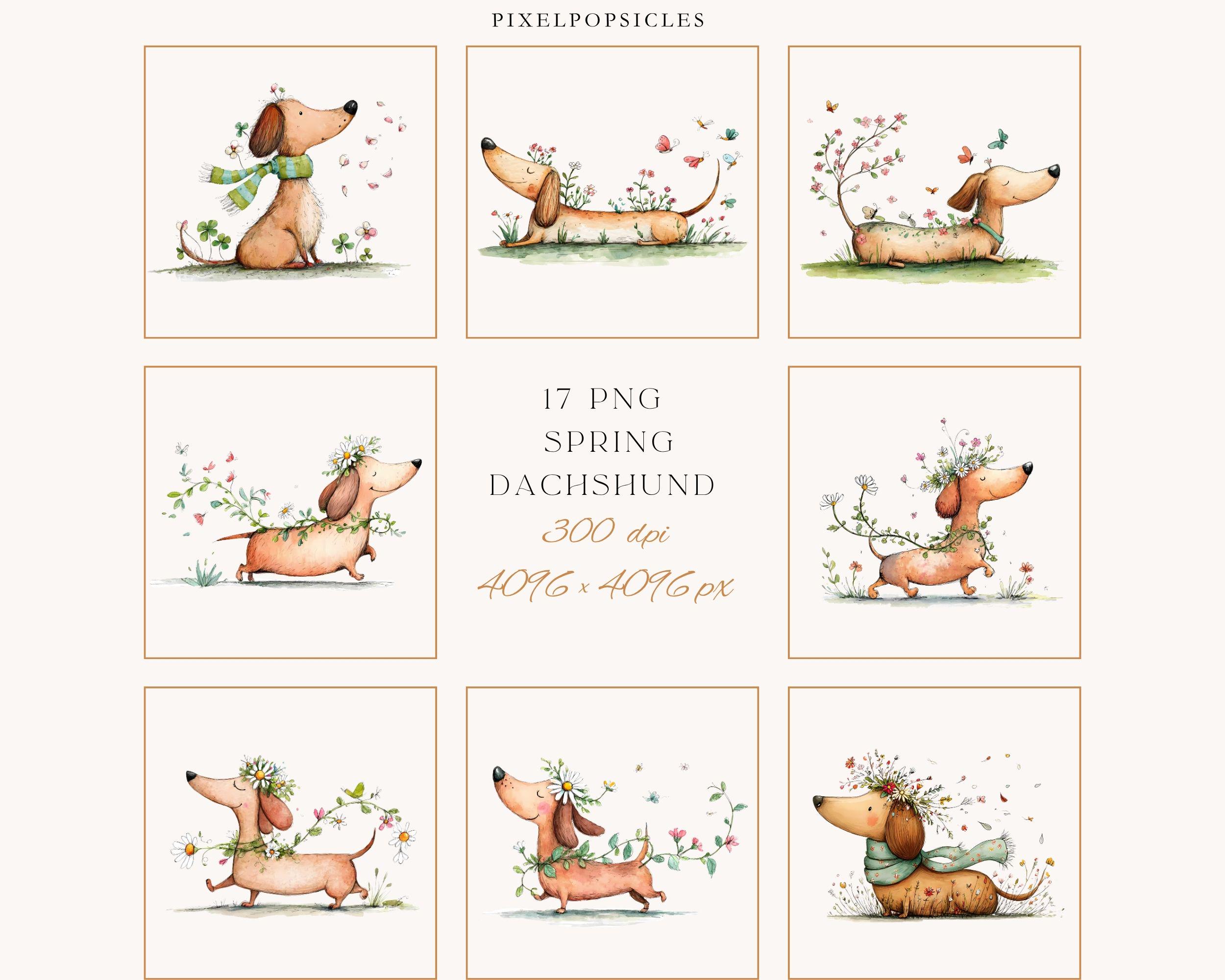 Whimsical Spring Dachshund Clipart – Floral Watercolor Sausage Dog Pngs ...
