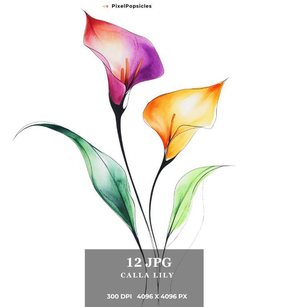Watercolor Calla Lily Clipart, Floral Art, Printable Flowers (digital ...