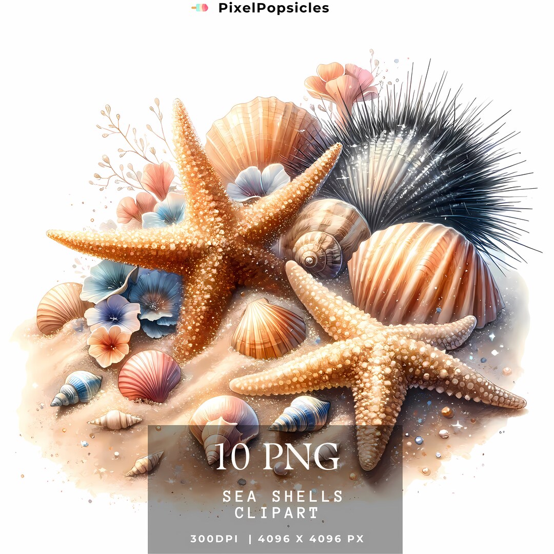Seashells Clipart, Starfish, Beach Coastal PNG Graphics, Watercolor Sea ...