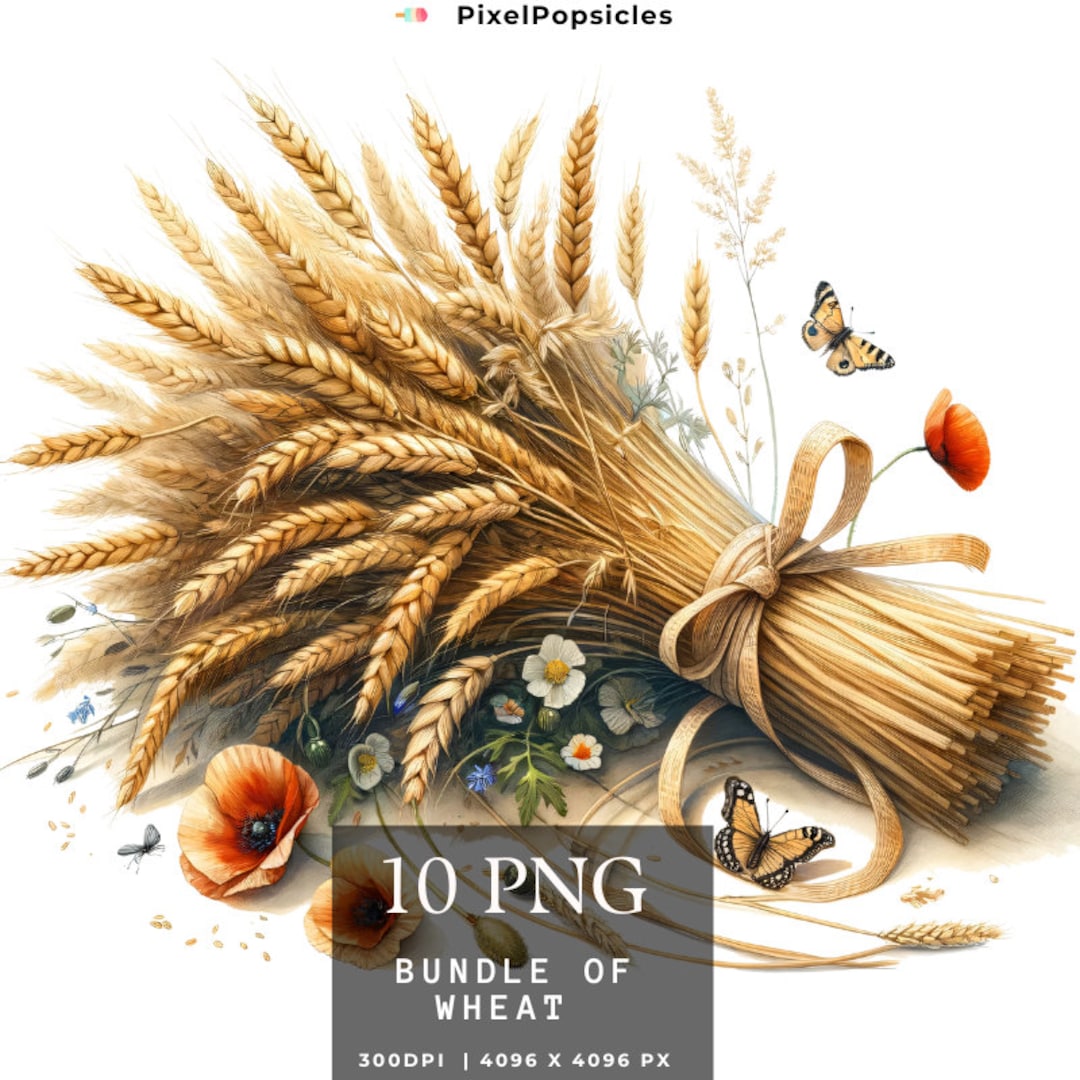 10 Watercolors Bundle of Wheat,clipart Png, Watercolor Flowers, Spring ...