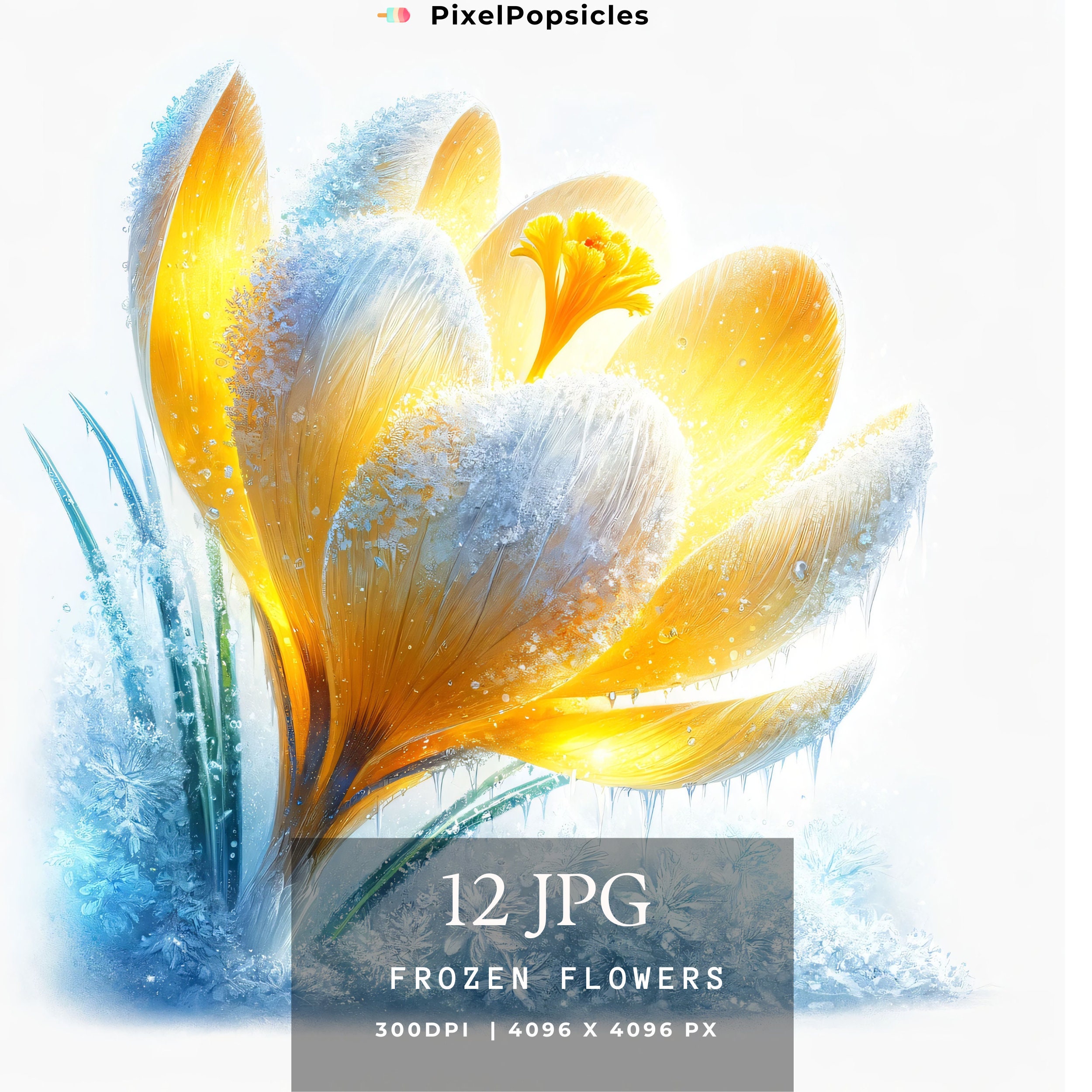 12 Frozen Flowers Clipart Jpg, Watercolor Flowers Jpg, Winter Flower ...