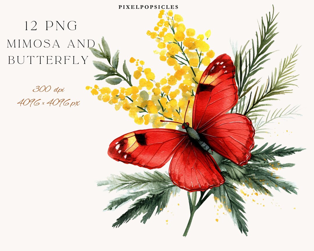 Mimosa and Butterfly Clipart: Watercolor Floral Art (digital Download ...