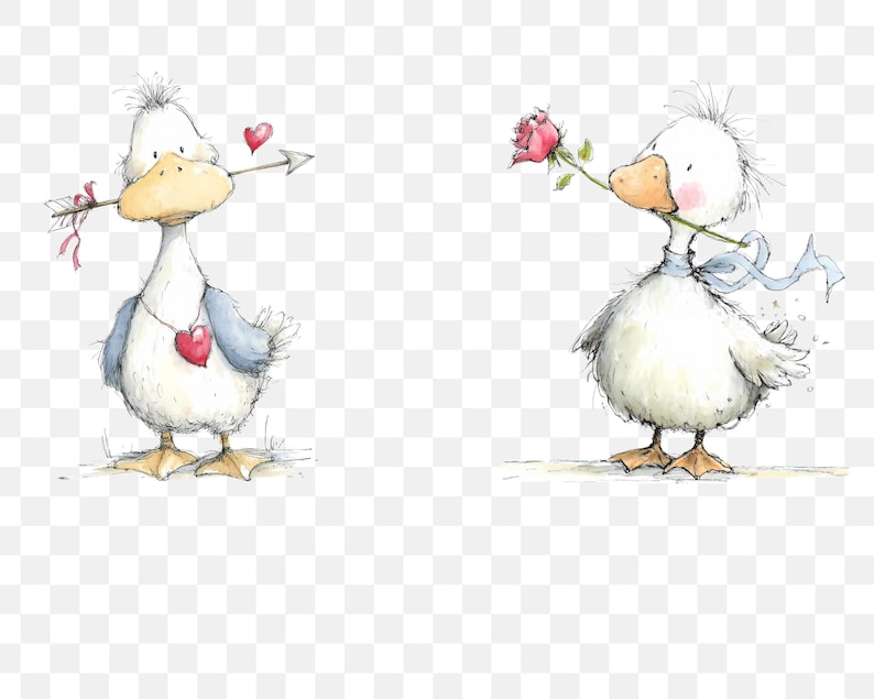 11 Png Adorable Love Goose PNG Collection | Quirky Valentine Birds With ...