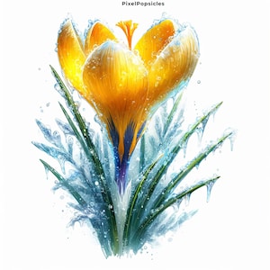 12 Frozen Flowers Clipart Jpg, Watercolor Flowers Jpg, Winter Flower ...
