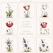 40 Whimsical Flower Clipart – Fantasy Floral Digital Art (PNG) - Etsy
