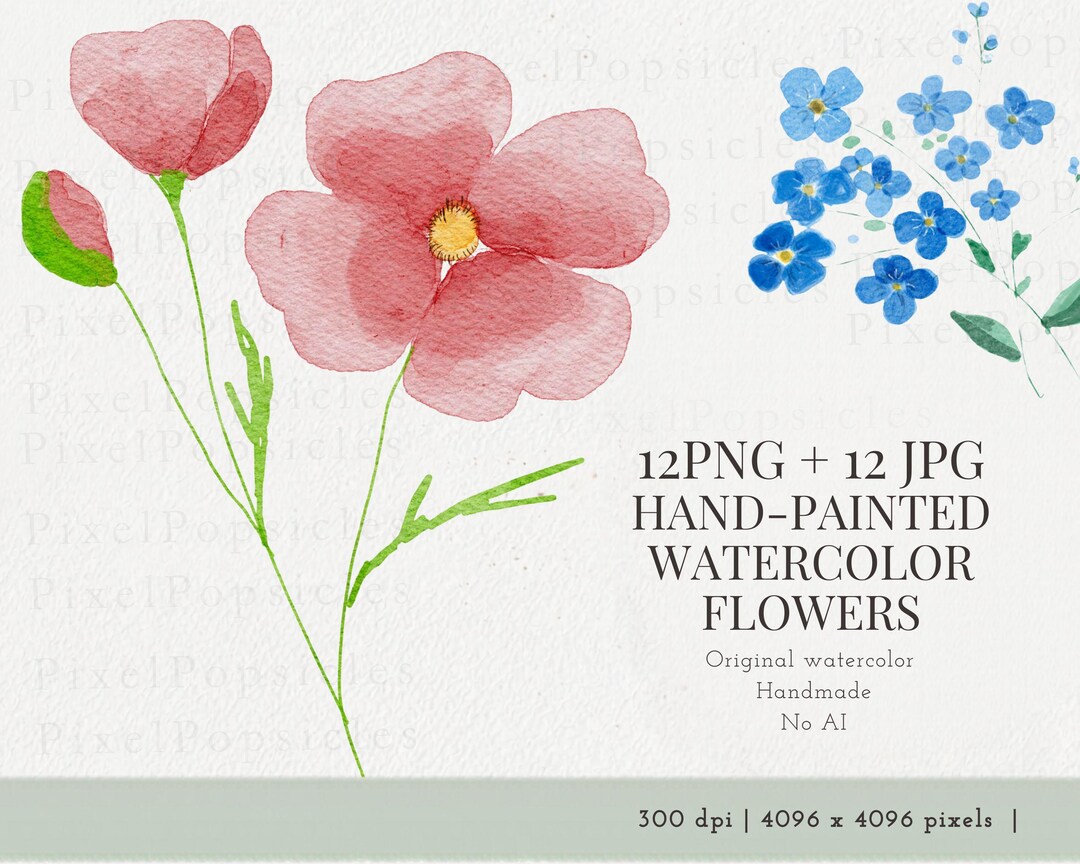 Hand-painted Watercolor Flowers PNG Set | Soft Floral Botanical Clipart ...