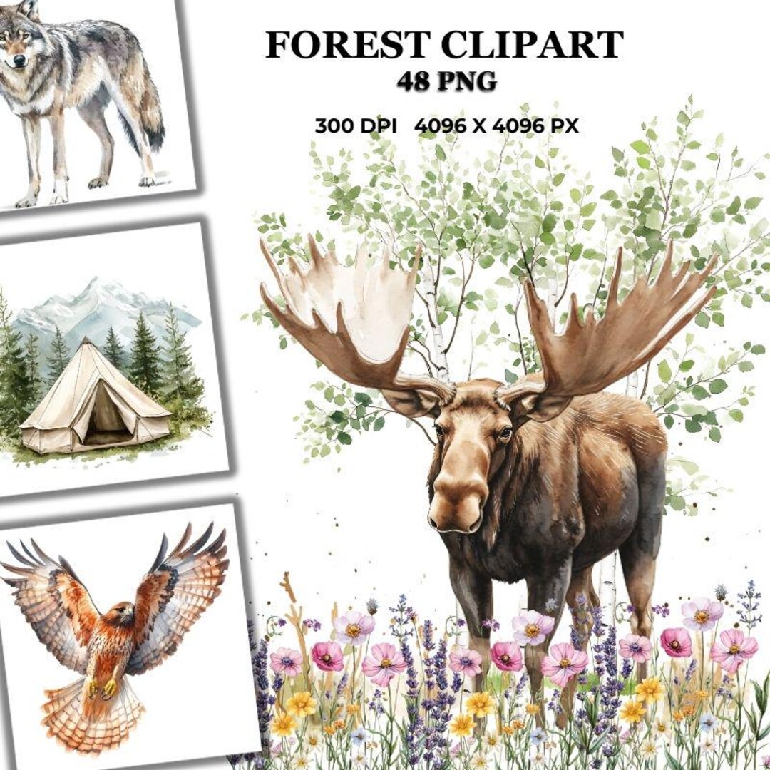 Forest Clipart Bundle | Woodland Animals, Trees & Plants | PNG ...
