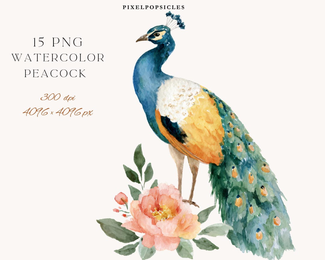 Watercolor Peacock Clipart: Elegant Bird Illustrations (digital ...