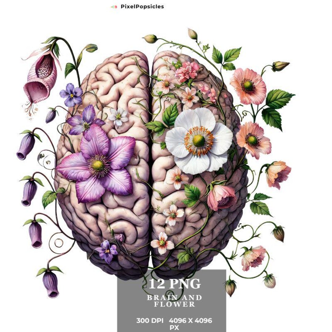 Floral Brain Clipart | Clipart Bundle | 13 High-quality Images | Wall ...