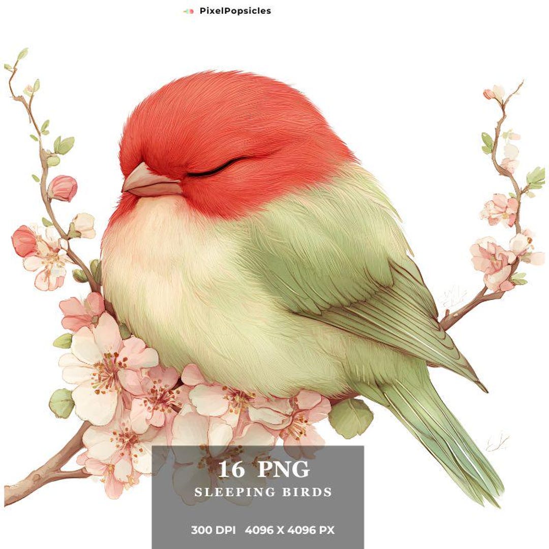 Sleeping Bird Clipart, Watercolor Illustration, Floral Bird PNG, Spring ...