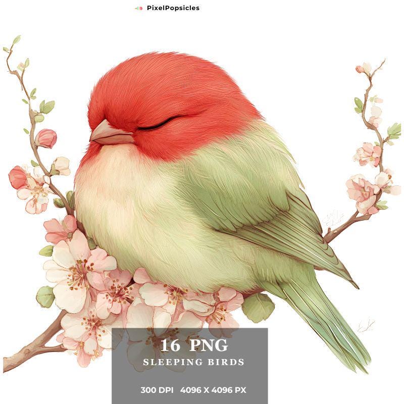 Sleeping Bird - Etsy