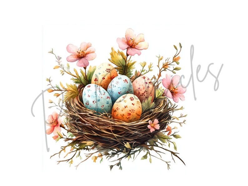 Floral Nest Watercolor Clipart: Spring Easter Eggs (digital Download ...