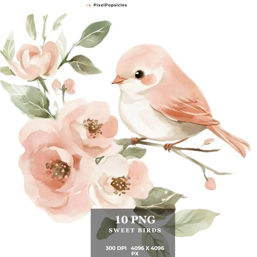 10 Sweet Spring Birds Png, Cute Birds Clipart Png, Scrapbooking, Card ...